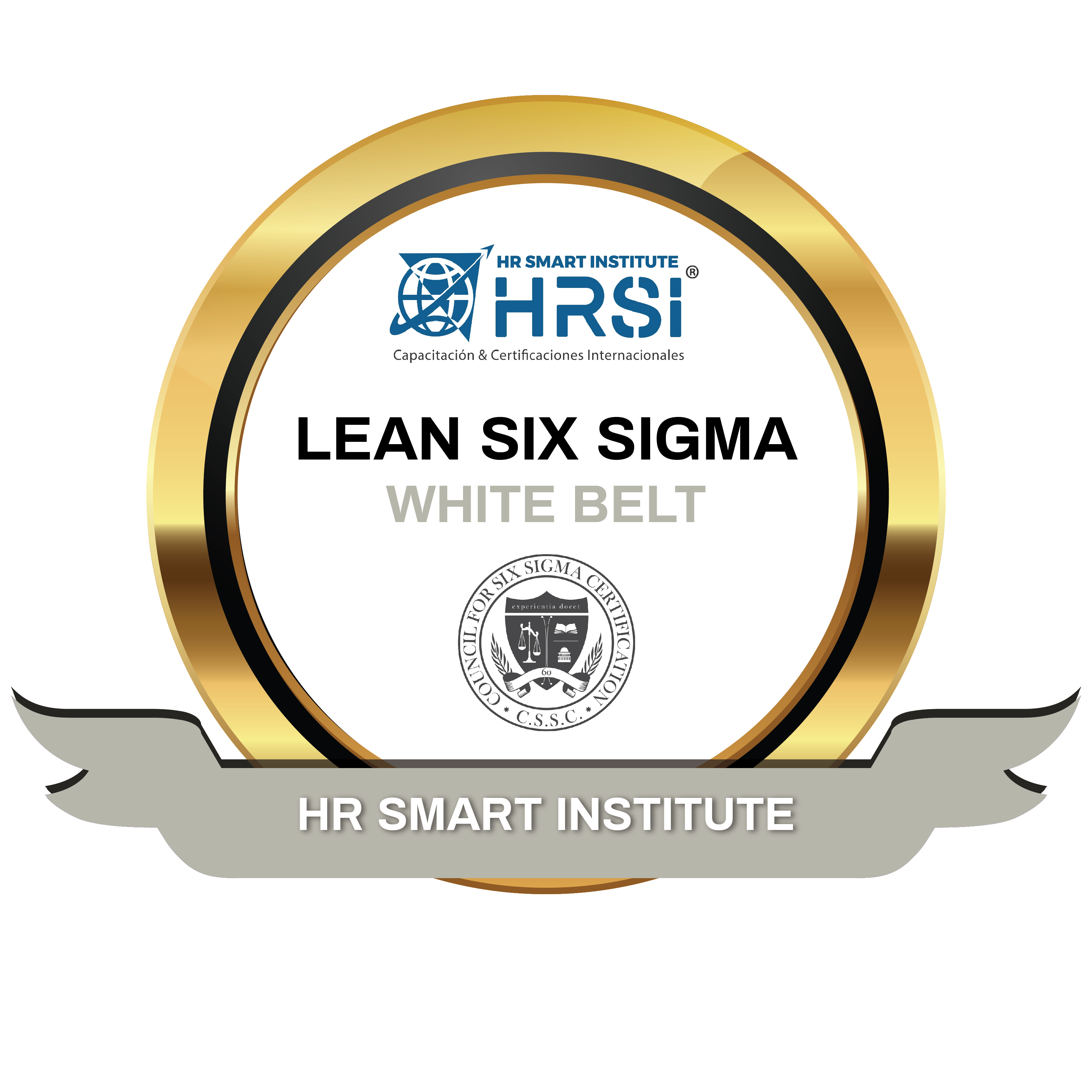 Curso Lean Six Sigma White Belt Guadalajara | HR Smart Institute